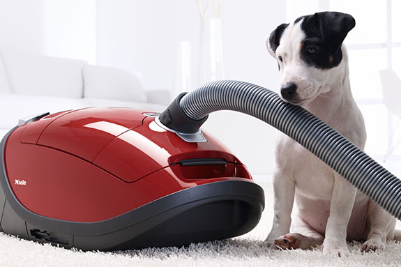 Miele Scout RX2 | Robot Vacuum Cleaner » Miele